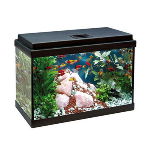 Acuario para peces de 20 litros.